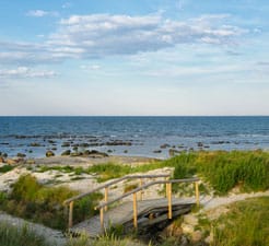 Dana Point ferry, compare prices, times and book tickets